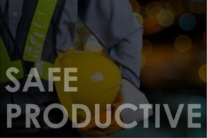BRiGS | Building safe and productive workplace